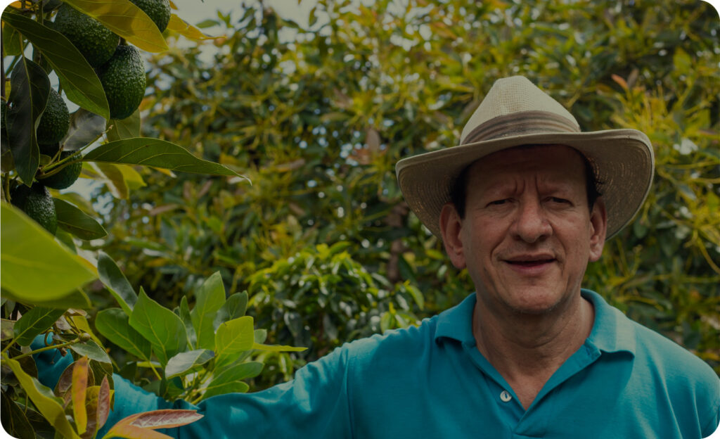 Our Farm – Hass Express